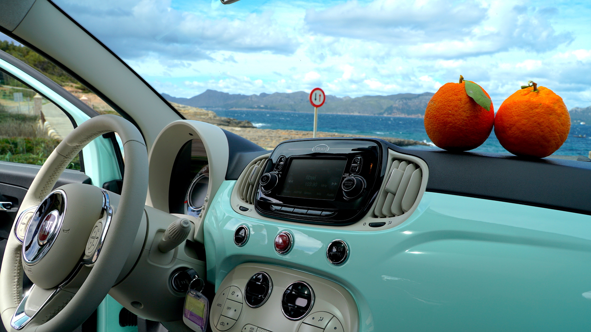 Linksmieji kalneliai Palmoje I dalis | Windarella