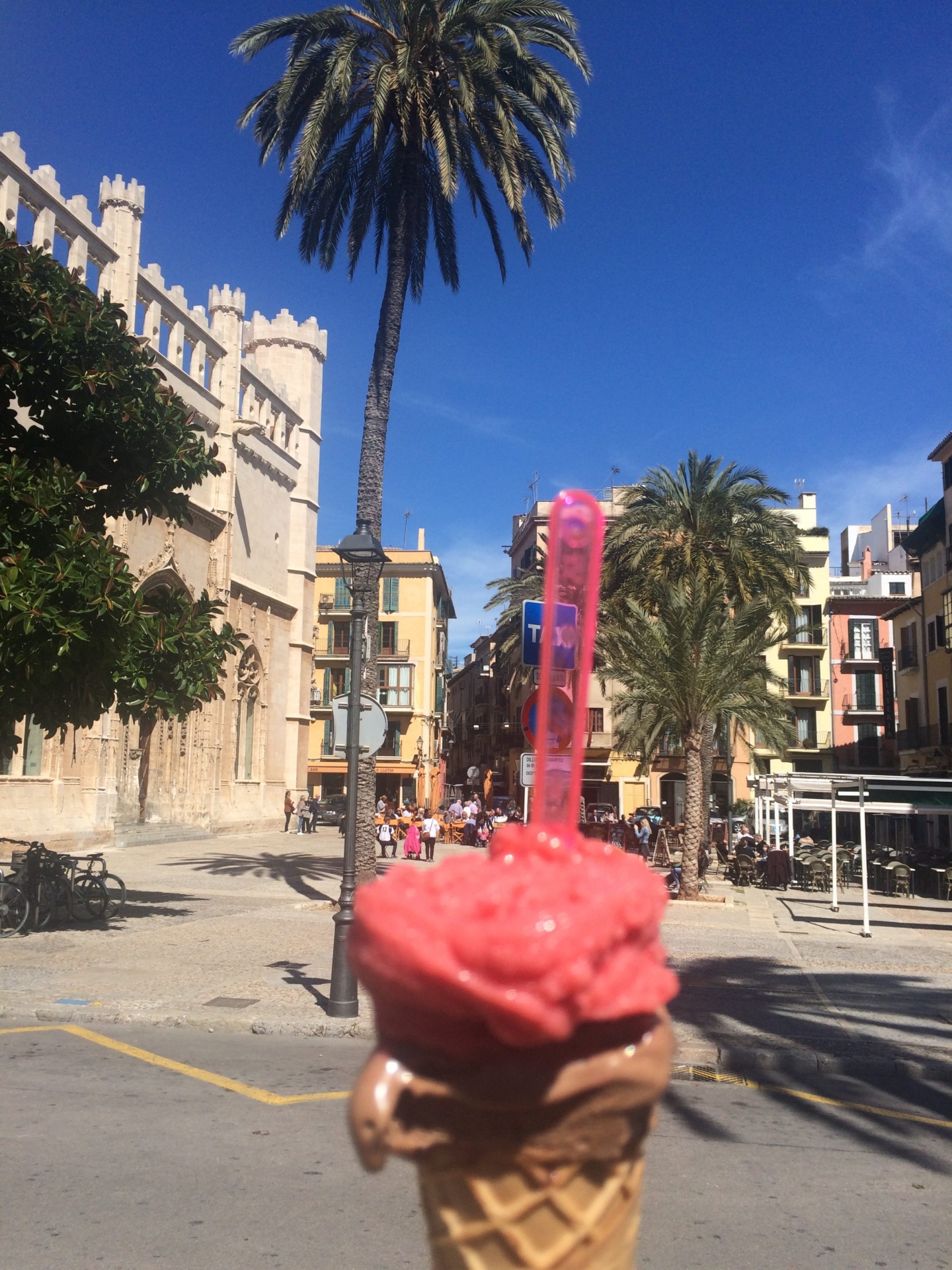 Linksmieji kalneliai Palmoje I dalis | Windarella